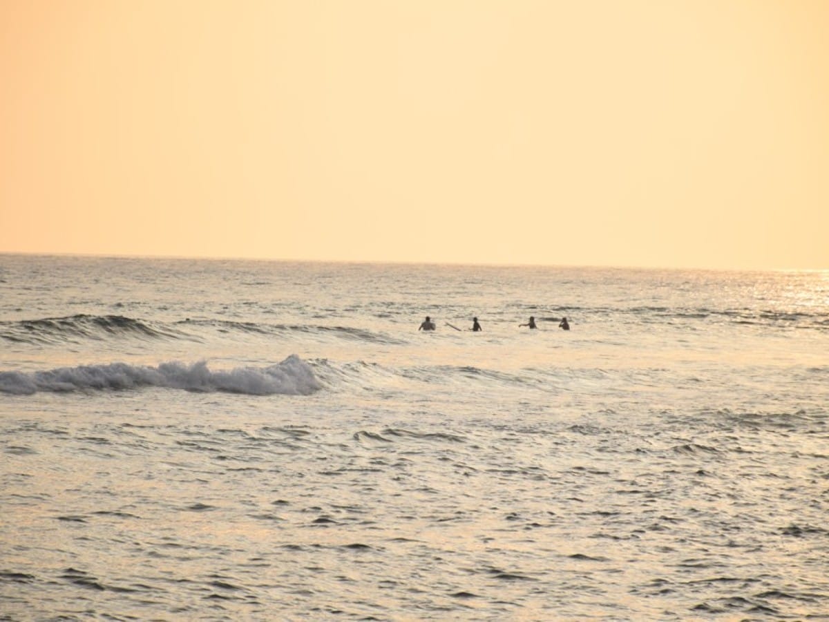 Ahangama Surf Guide - Sri Lanka's Coolest Surf Town - Surf Atlas