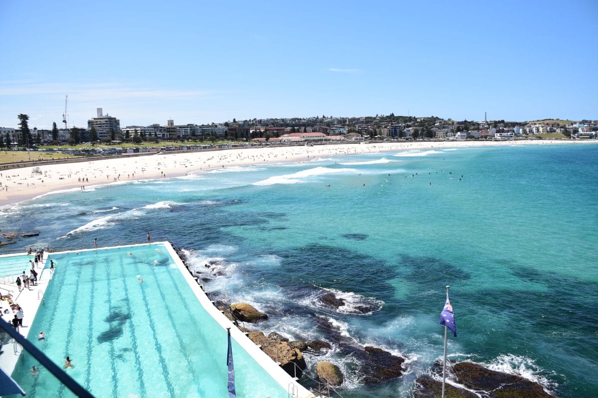 The Ultimate Guide to Bondi Surf - Surf Atlas