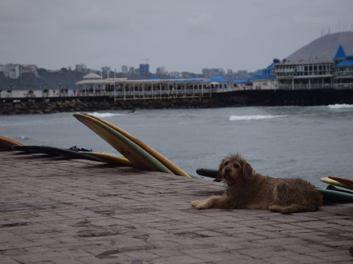 Surfing in Lima - Main Spots / Seasons / Hotels - Surf Atlas