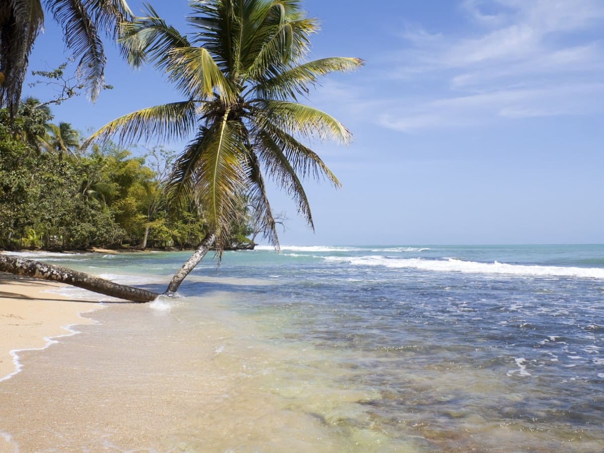 Panama Surf Guide - ALL Surf Towns / Spots [2025] - Surf Atlas